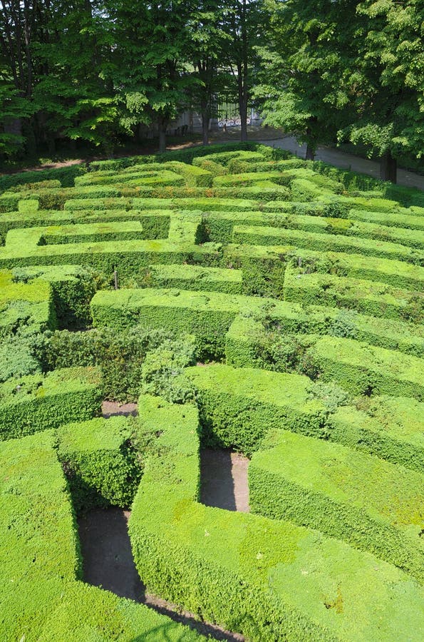 Hedges labyrinth stock image. Image of mysterious, complexity - 9439903