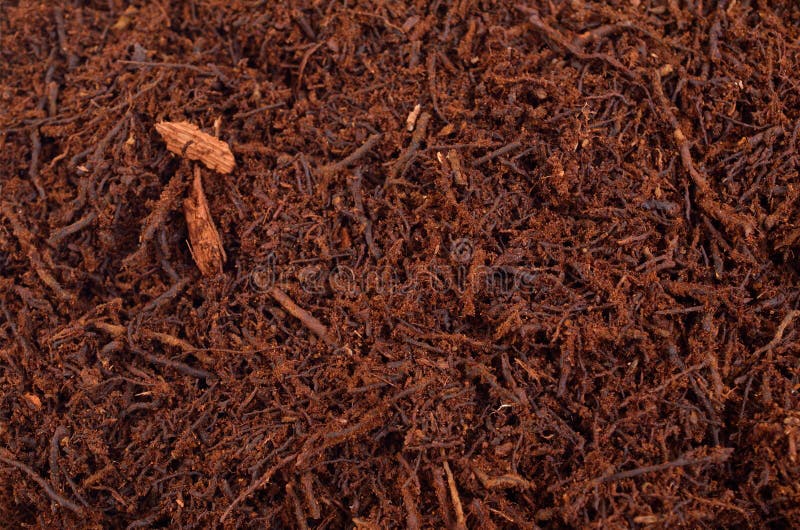 Heep of Fern Root Compost Substrate. Background. Stock Image - Image of ...