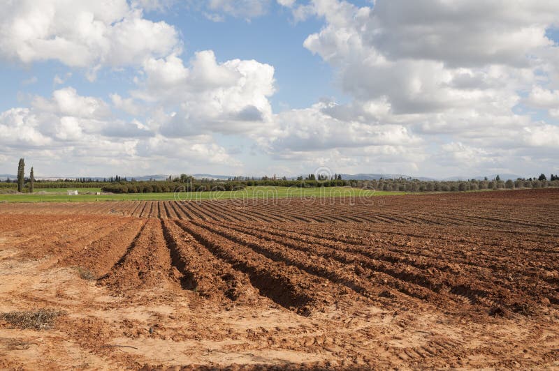 Hefer Valley, Emek Hefer Typical Agricultural View Editorial Stock ...