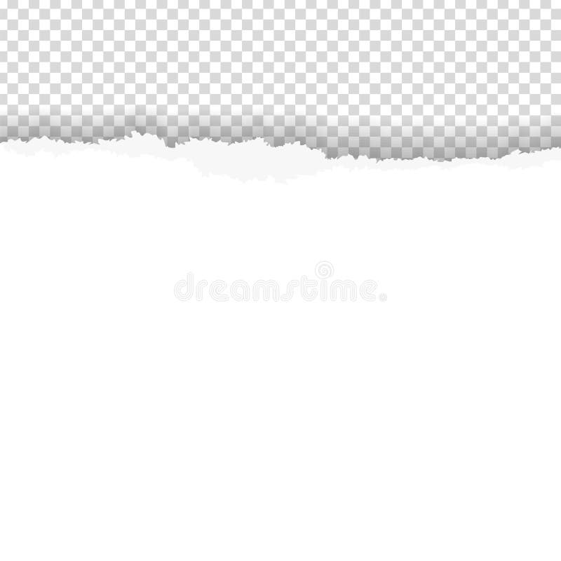 Heftiges Papier Mit Zerrissenem Rand Vektor Abbildung - Illustration ...