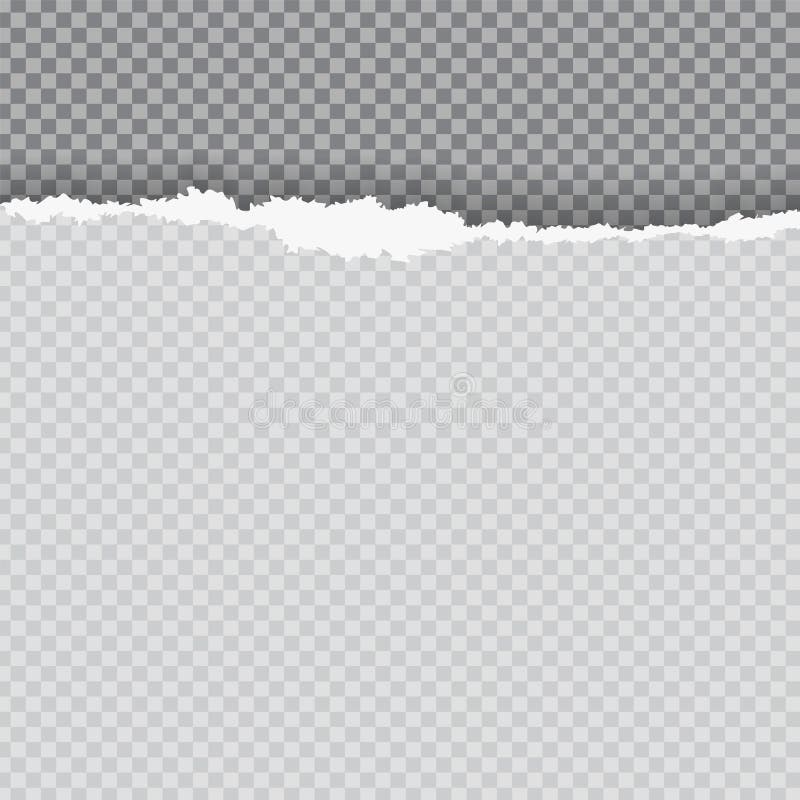 Heftiges Papier Mit Zerrissenem Rand Vektor Abbildung - Illustration ...