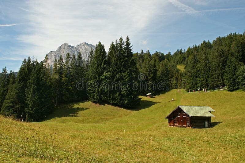 Heidi Country stock image. Image of alps, hike, tree, hiking - 8329669