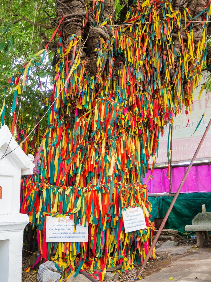 Heilige boom in Koh Kret redactionele afbeelding. Image of thais - 80490910