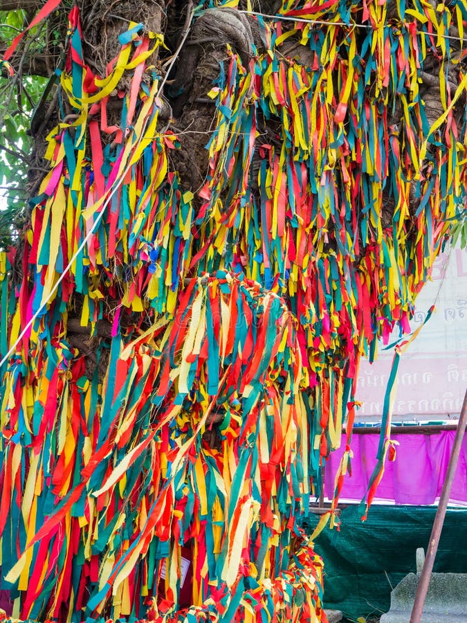 Heilige Boom in Seimei Shrine in Kyoto Japan. De Seimei - Shrine Werd ...