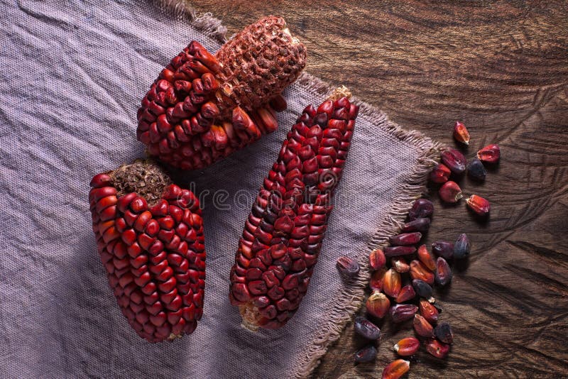 Heirloom Corn from Ecuador in Rustic Setting Stock Photo - Image of ...