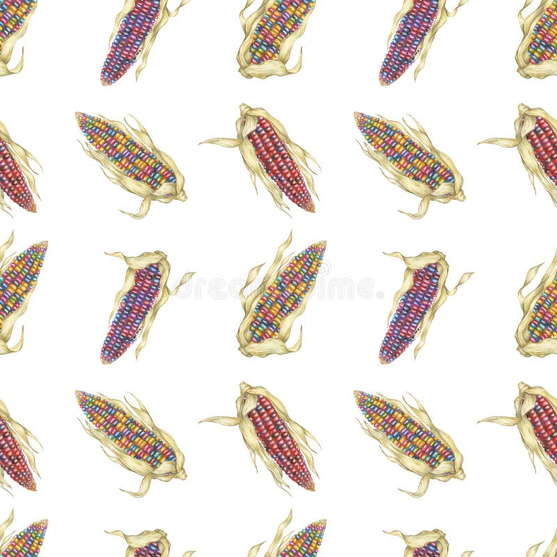 Watercolor Indian Corn Template