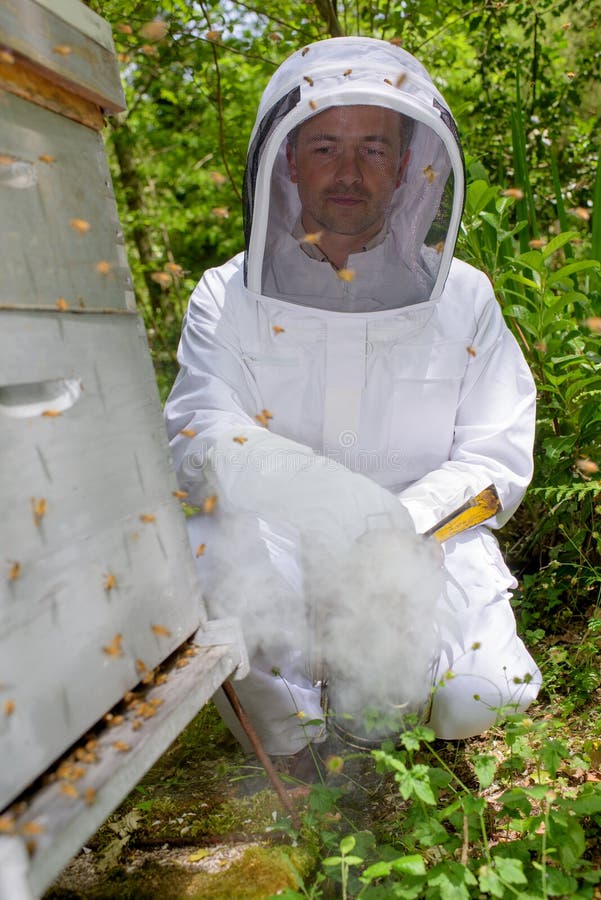 Heis beekeeping in yard stock photo. Image of smoke - 308145752