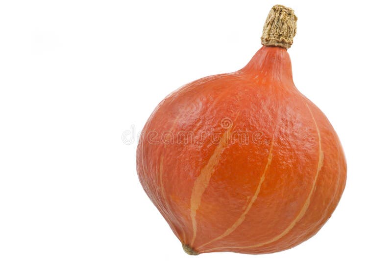 Hel pumpa på vit bakgrund fotografering för bildbyråer. Bild av höst ...