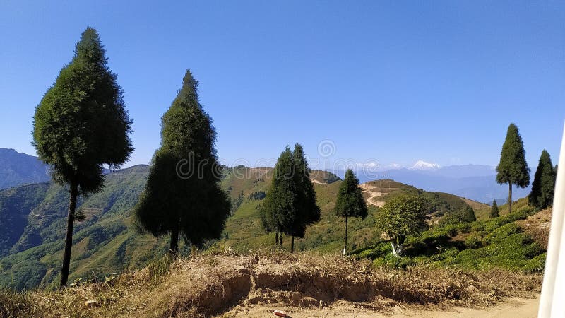 Hel , Tree, Sky, Rood , Gress Stock Image - Image of leaf, wilderness ...