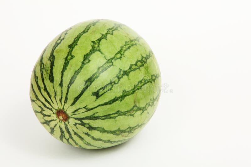 Val Av Rosa, Orange, Gult Och White Arkivfoto - Bild av stängning ...