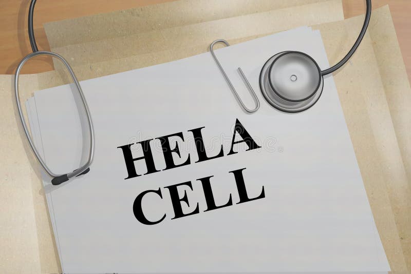 Cell Hela Stock Illustrations – 2 Cell Hela Stock Illustrations ...