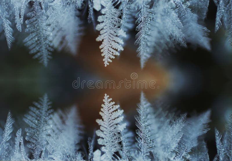 Helada foto de archivo. Imagen de apertura, snowflake - 3733586
