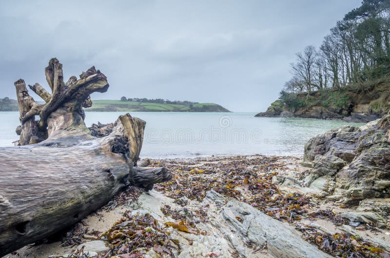 Helford Passage in Cornwall England Uk Stock Image - Image of perran ...