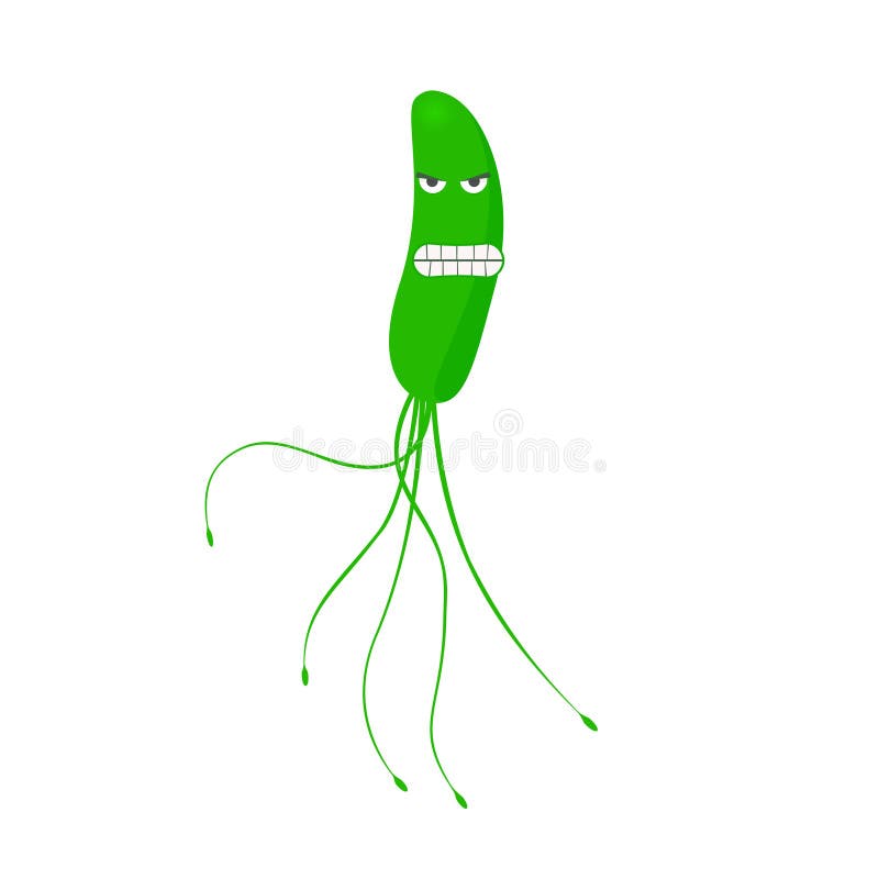 Cartoon Helicobacter Stock Illustrations – 700 Cartoon Helicobacter ...