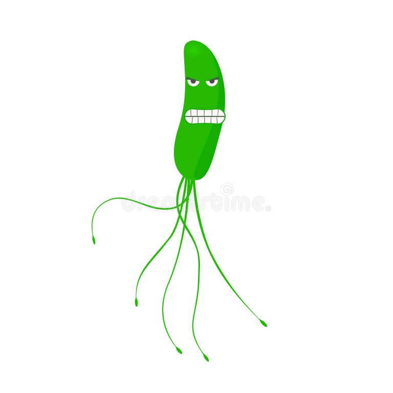 Helicobacter Pylori. Cartoon Character Stock Vector - Illustration of ...