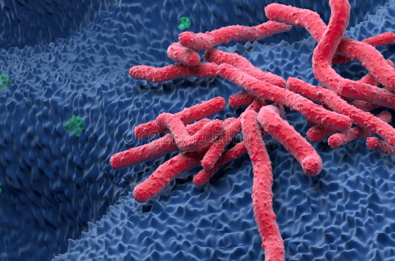 Helicobacter Pylori Bacteria Field On The Stomach Wall Closeup View