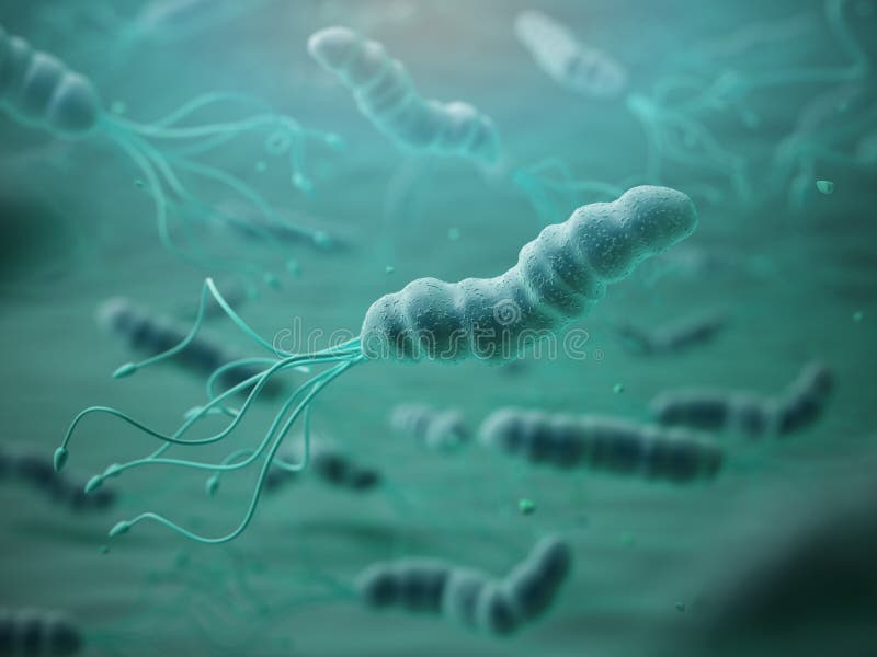 Helicobacter Pylori in Microscope. Bactreiias. Stock Illustration ...