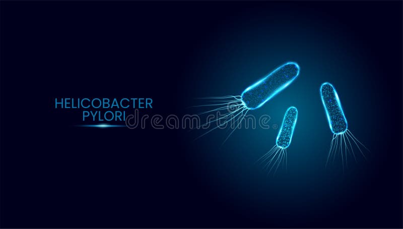 Helicobacter Pylori. Wireframe Low Poly Style. Vector Illustration ...