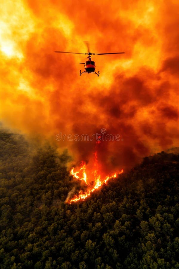 Helicopter Battling Massive Forest Fire Over Dense Woodland Stock ...