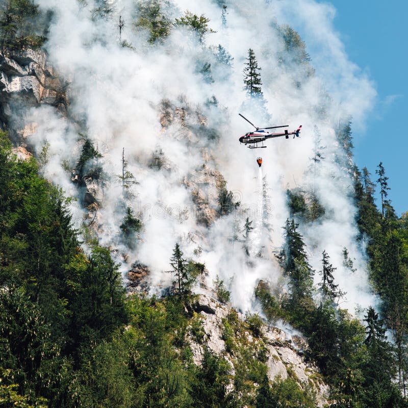 Helicopter Extinguishes Forest Fire on the Slope of Fuming Mount Stock ...