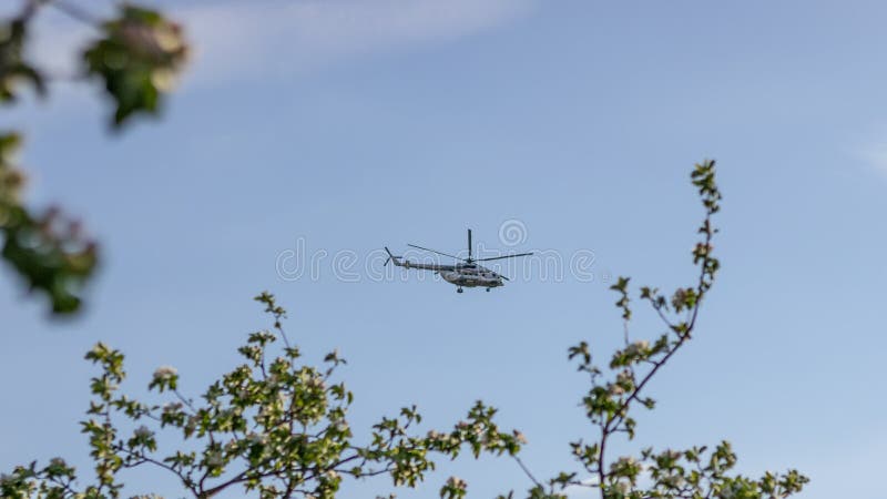 Helicopter Flying Over Tree Tops in Spring Stock Image - Image of ...