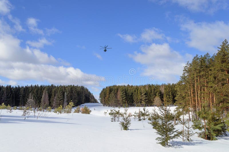 Helicopter Over a Large Forest Glade Stock Image - Image of glade ...