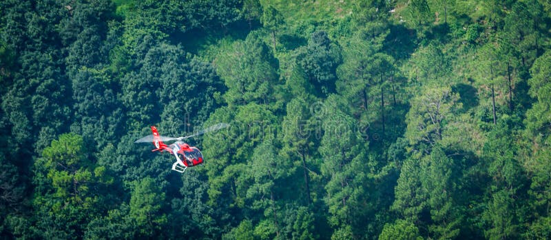 Helicopter Above the Forest Stock Photo - Image of katra, modern: 272226636