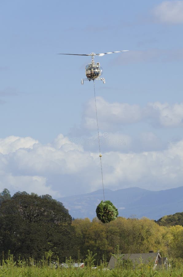 Helicopter tree harvest stock photo. Image of harvest - 27243080
