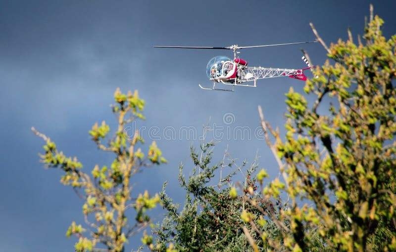 Helicopter through Trees editorial photo. Image of sunlit - 52171271