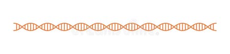 Dna Border Stock Illustrations – 783 Dna Border Stock Illustrations ...