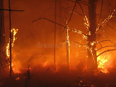 Hell in the forest stock image. Image of campfire, wood - 15006531