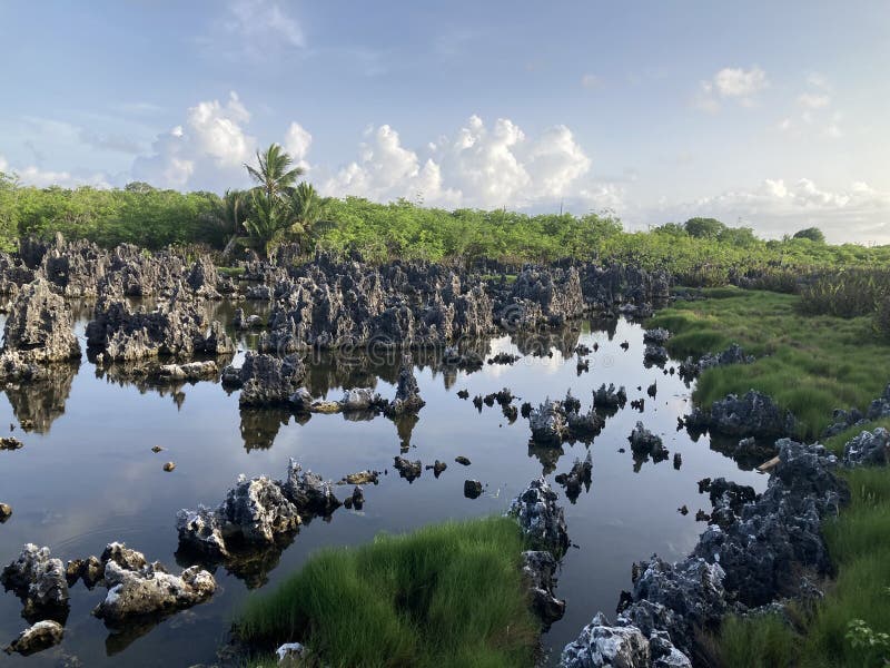 Hell, Grand Cayman, Cayman Islands, Carribean Stock Photo - Image of ...