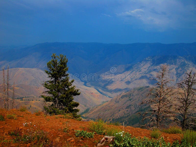 Hell S Canyon of the Snake River Stock Photo - Image of ridge, canyons ...