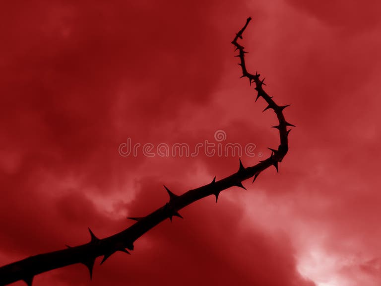Hell whip stock photo. Image of demonic, inferno, diabolical - 844466