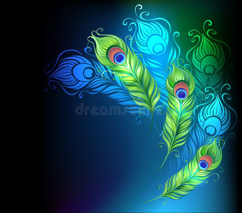 Stilisiert Pfaufeder vektor abbildung. Illustration von bleistift ...