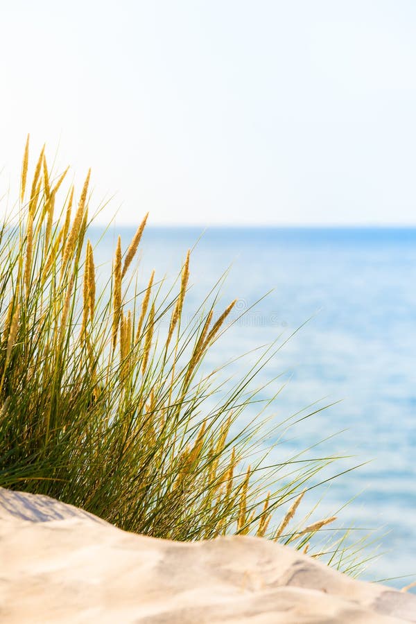 Helles Blau Mt fuji stockfoto. Bild von schön, berühmt - 76504556