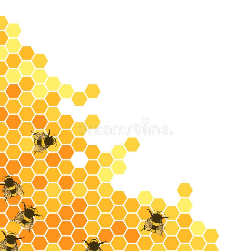 Heller Hintergrund Der Bienenwaben Vektor Abbildung - Illustration von ...