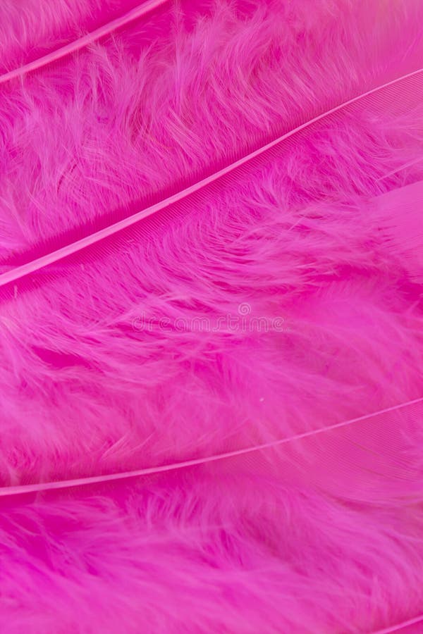 Helles Rosa Handwerk Versieht Hintergrund Mit Federn Stockfoto - Bild ...