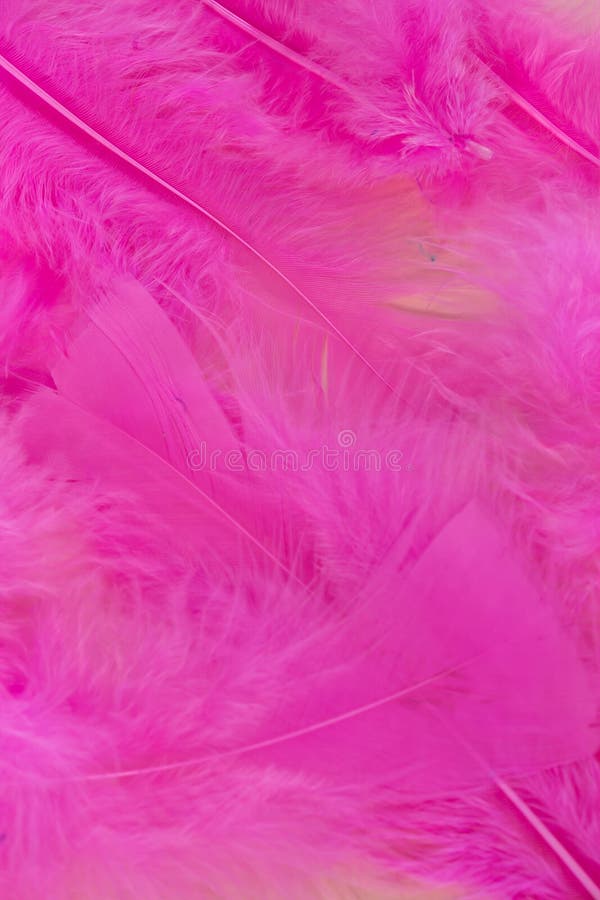 Helles Rosa Handwerk Versieht Hintergrund Mit Federn Stockfoto - Bild ...