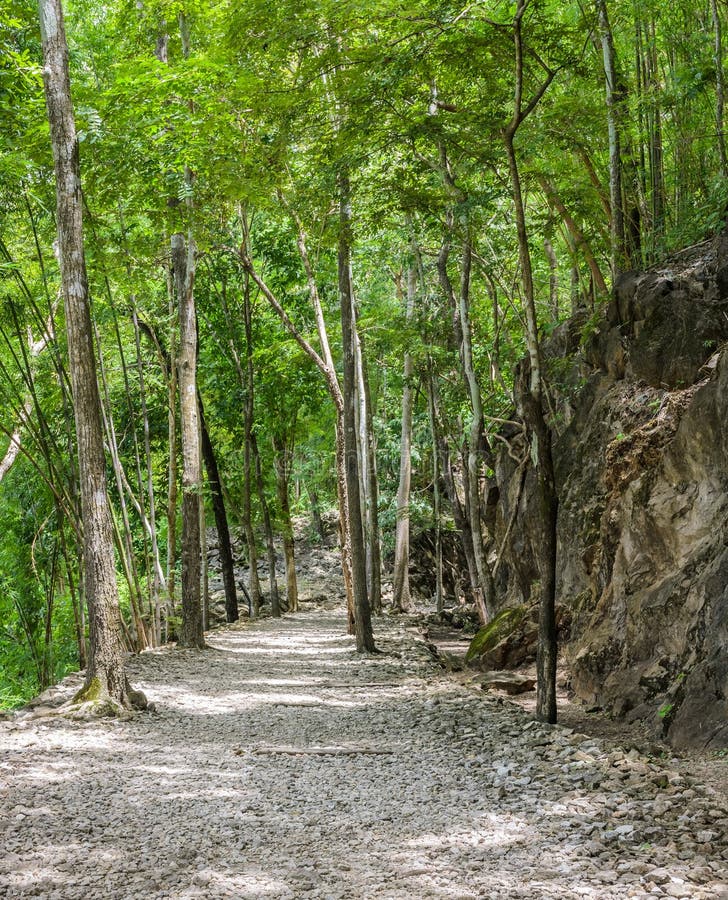 Hellfire Pass in Kanchanaburi, Thailand Stock Photo - Image of tree ...