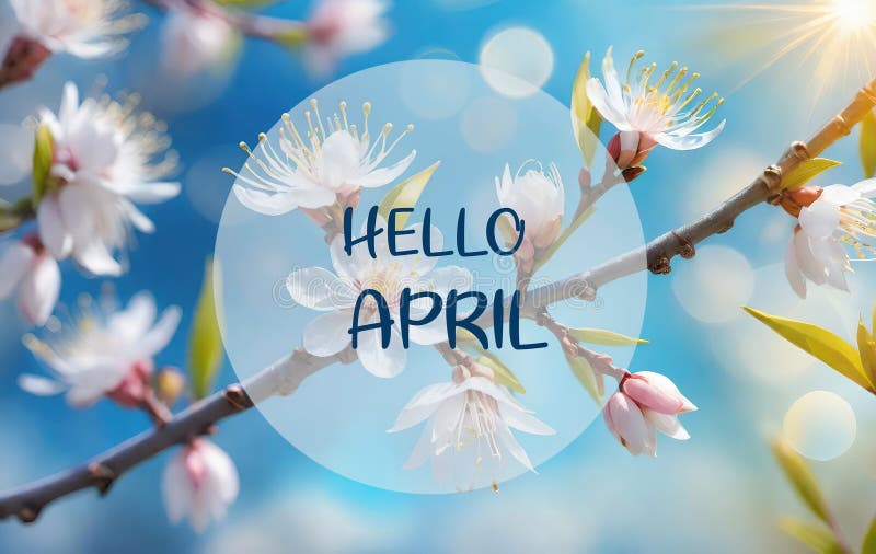 Hello April.Blurred Branches of Cherry Blossoms on a Blue Sky ...