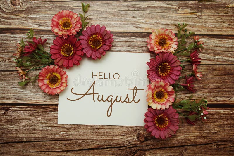 Hello August Typography Text Flowers Wooden Background Stock Photos ...