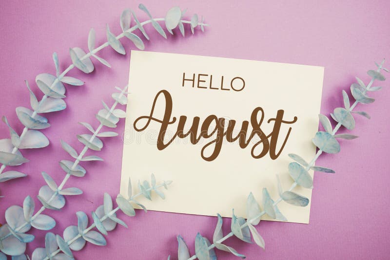 Hello August Typography Text on Paper Card Decorate with Eucalyptus on ...