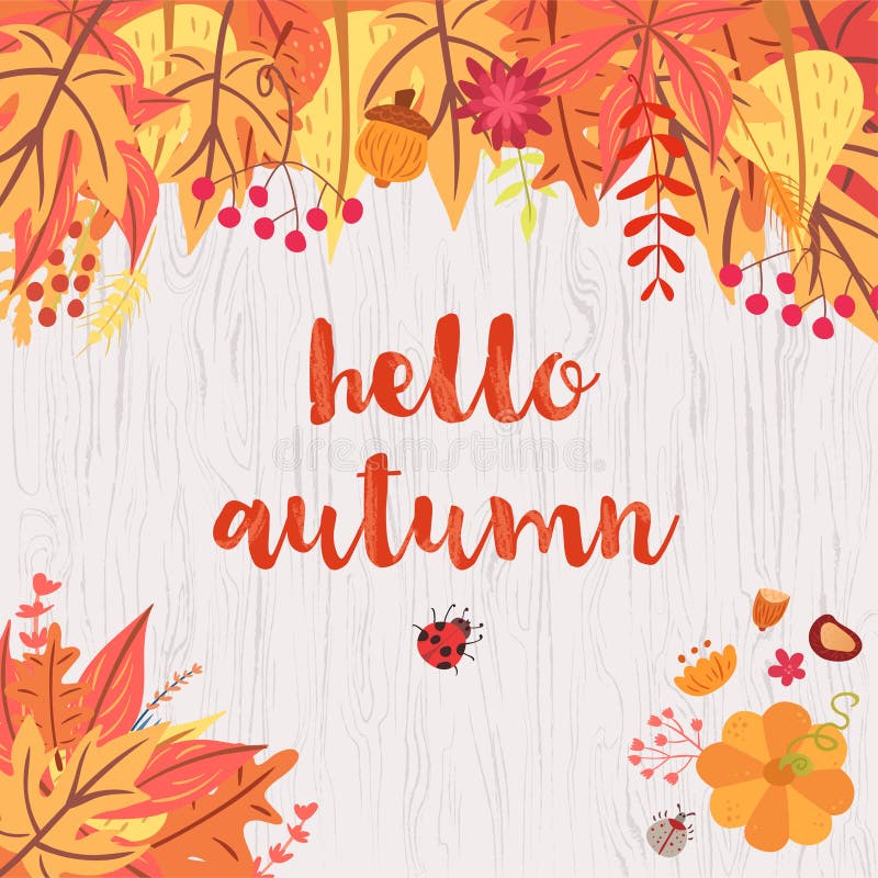 Hello autumn design. stock vector. Illustration of autumn - 97539591