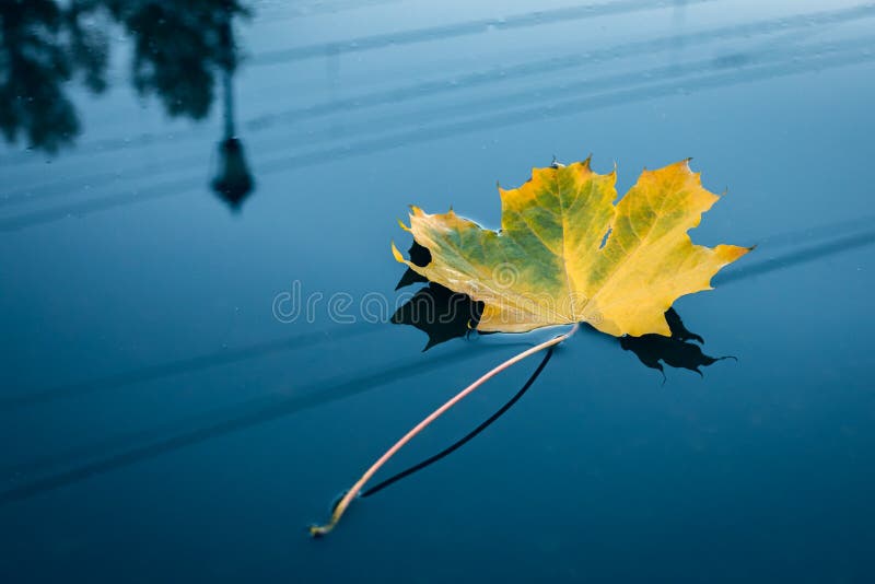 179 Hello September Water Marks Stock Photos - Free & Royalty-Free ...