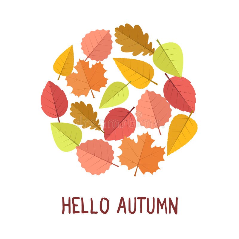 Hello Autumn Leaf Template on White Background. Vector Illustration ...