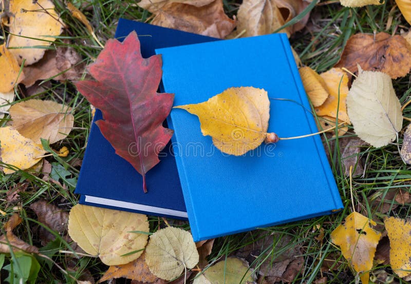 Thanksgiving Poems Stock Photos - Free & Royalty-Free Stock Photos from ...