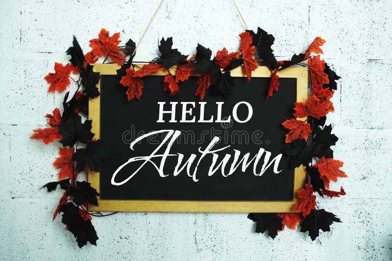 Hello Autumn Text Message on Blackboard Decoration with Maple Leaves ...