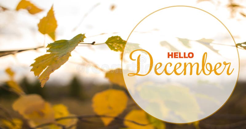 Hello December Autumn Composition. Yellow and Orange Leaves on Sky ...