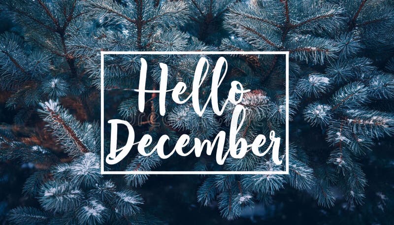 Hello December Poster Design Stock Illustration - Illustration of ...